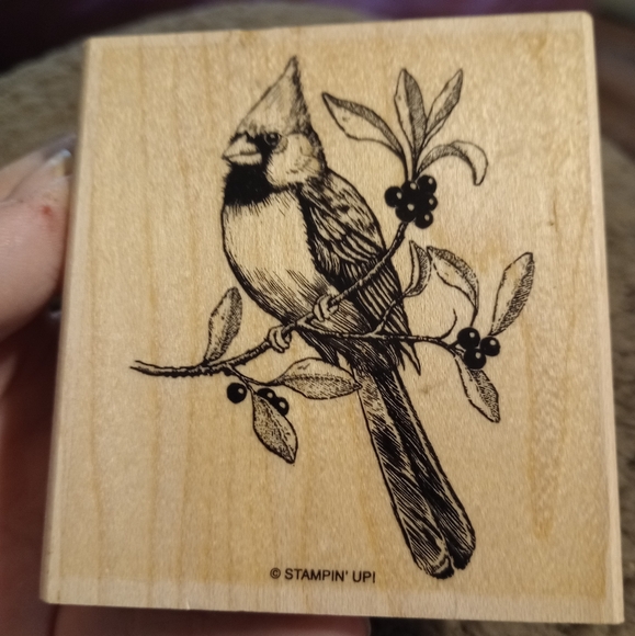 Stampin' Up! | Office | Cardinal Rubber Stamp | Poshmark